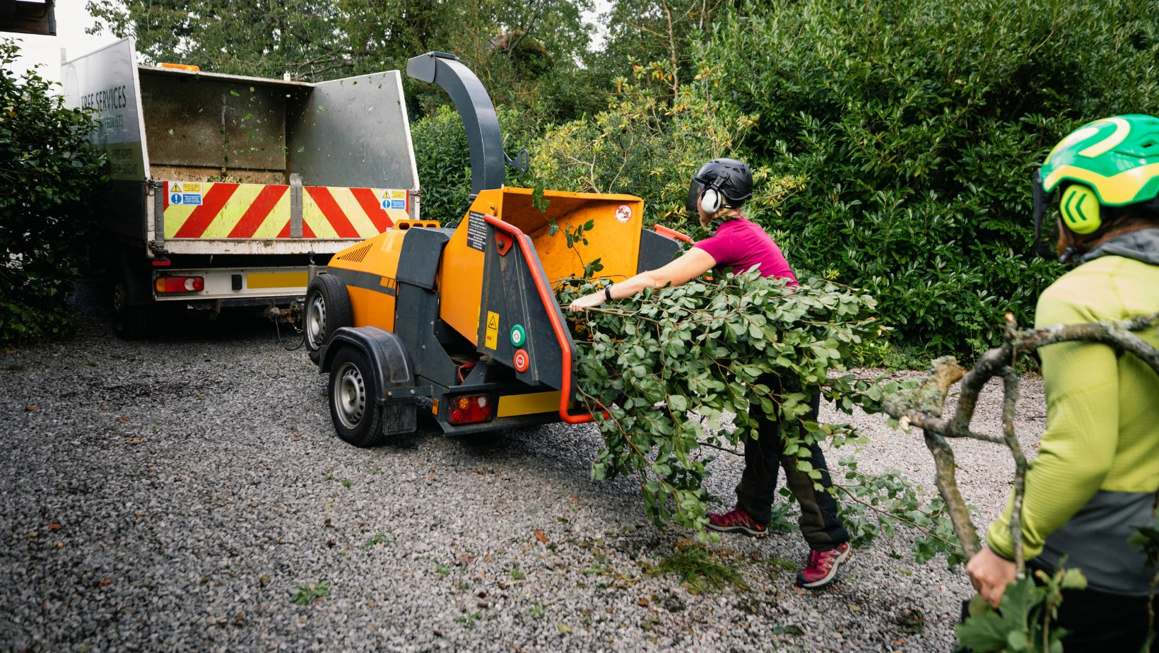 Tree Surgeon Basingstoke| Professional Tree Surgery Services
